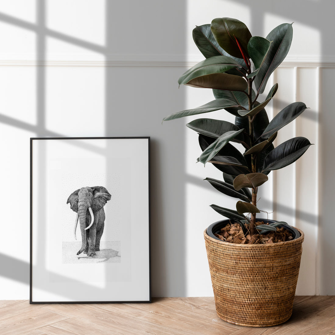 Niccy D Art – niccyd.art